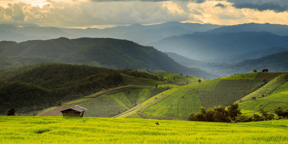 Bangkok Chiang Mai Tour Package From Nepal : 6 Days Itinerary, Cost